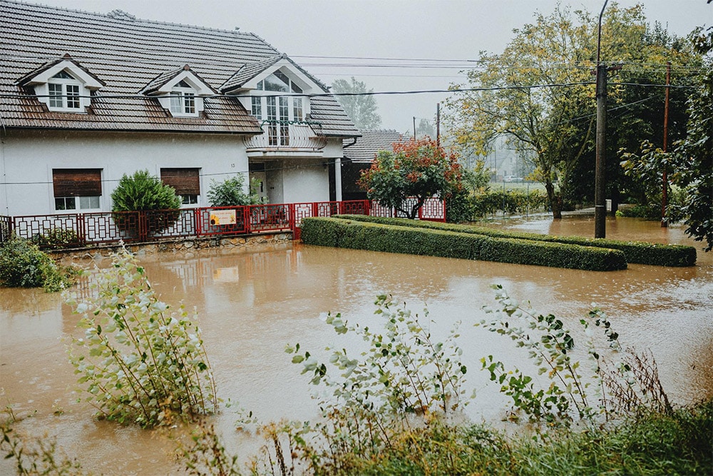 The Different Types of Water Damage and How They’re Handled